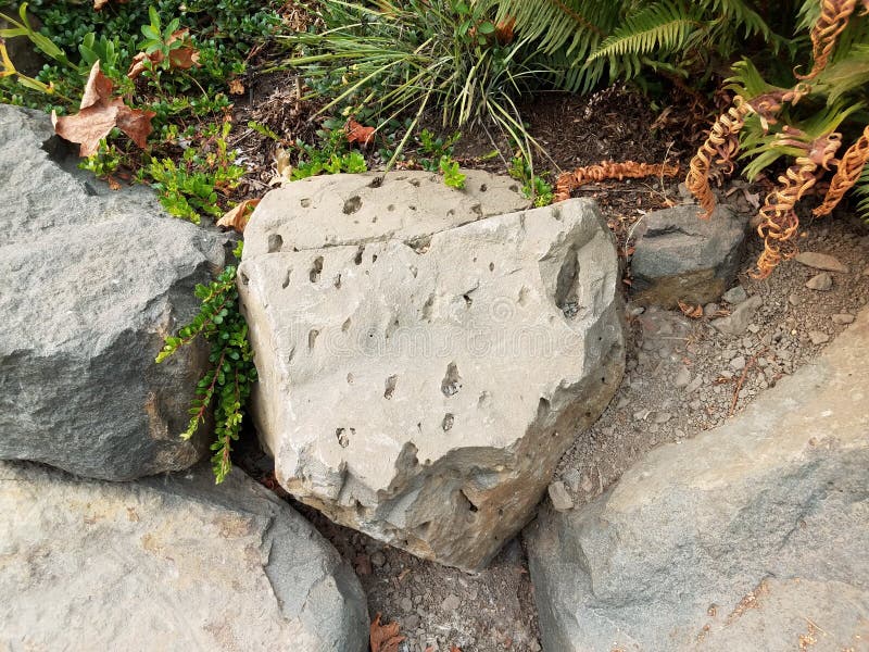 Grey Rock or Boulder with Small Irregular Holes Stock Image - Image of ...