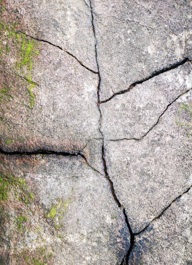 143 Grayish Colors Photos - Free & Royalty-Free Stock Photos from ...