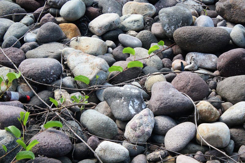 Grey rocks stock image. Image of geology, mineral, ground - 93315091