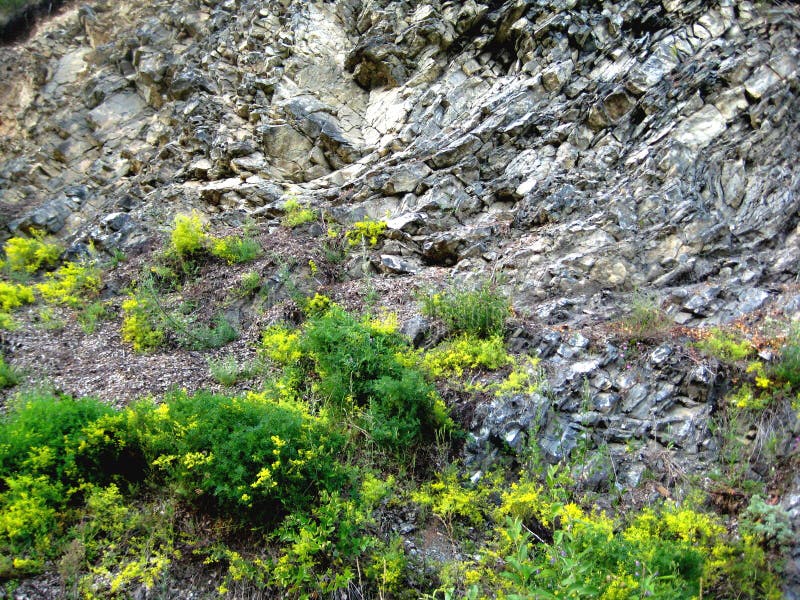 Grey rocky slope stock photo. Image of green, destruction - 56993392