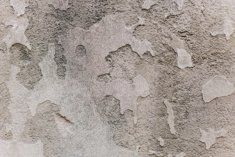 Grey Rustic Texture Background with Craquelure Stock Image - Image of ...