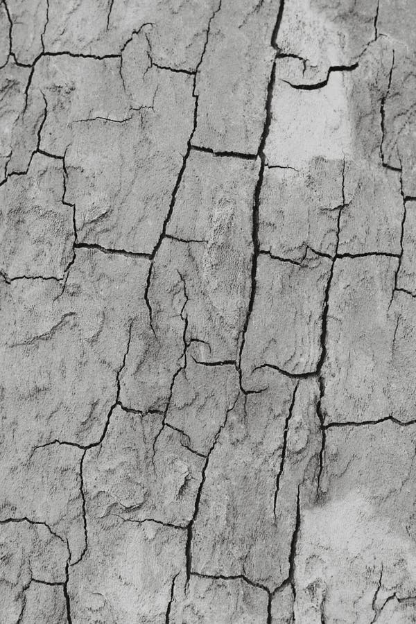 Grey Rustic Texture Background with Craquelure Stock Photo - Image of ...
