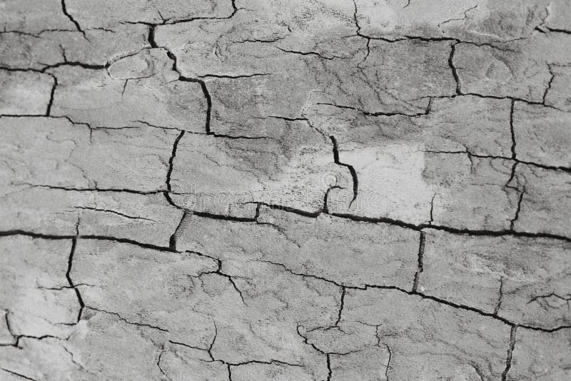 Grey Rustic Texture Background with Craquelure. Monochrome Stock Photo ...