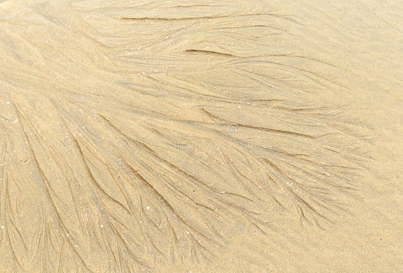 Grey Sand with a Beautiful Texture Stock Image - Image of particle ...
