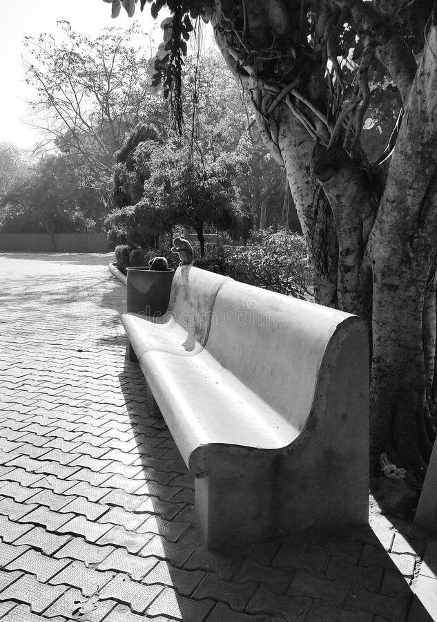 Grey scale bench stock photo. Image of bench, scale - 278092894