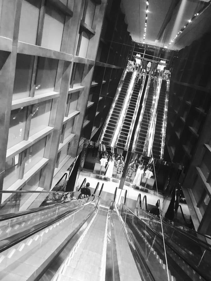 Grey Scale Photo Of Escalator Picture. Image: 114892450