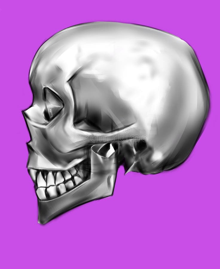 The Grey Scale Skull stock illustration. Illustration of anatomy ...