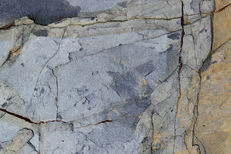 Grey Sea Cliff Stone Surface Texture with Cracks. Sea Limestone. Stock ...
