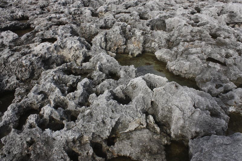 Grey Sea Rocks with Some Water Texture Stock Photo - Image of ground ...