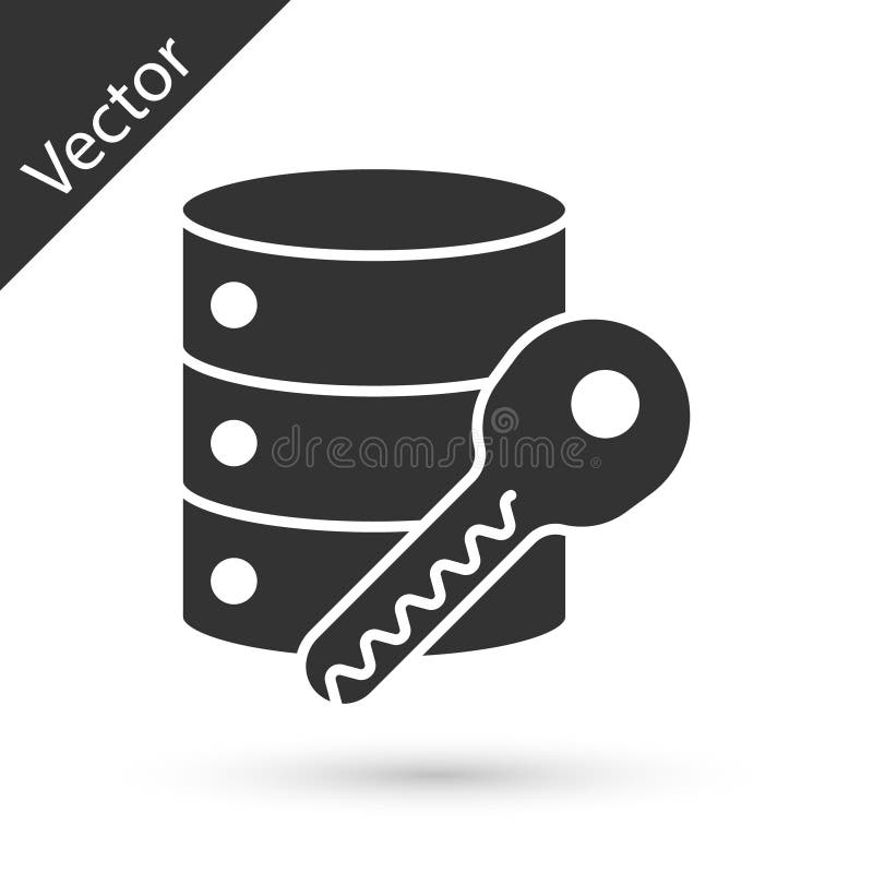 Grey Server Security with Key Icon Isolated on White Background ...