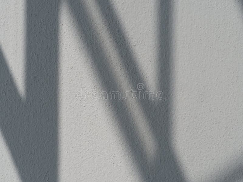 Grey Shadow on a White Wall Stock Image - Image of grey, afternoon ...