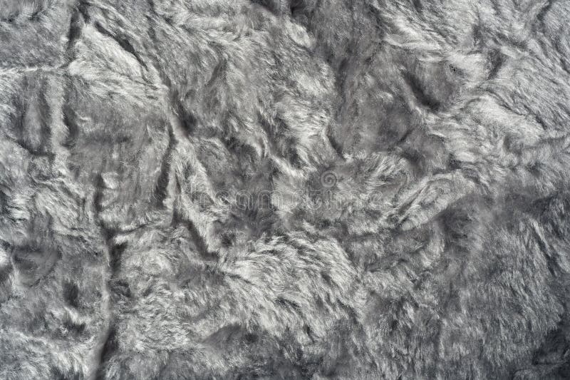 Grey Silver Fur Texture Background Stock Image - Image of protection ...