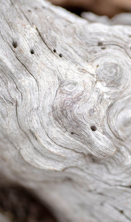 Grey Wood Surface that Can Be Used As Background Stock Image - Image of ...