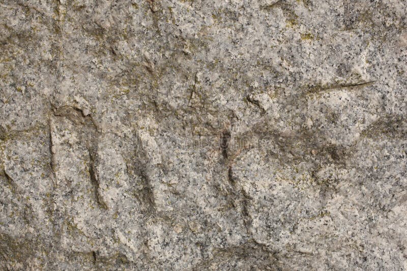 Grey Slate Granite Background Texture with Copy Space for Your Text ...