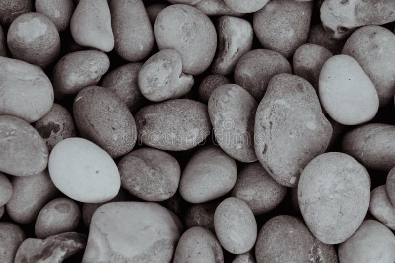 Grey Smooth Round Stones on the Beach Stock Photo - Image of grey ...