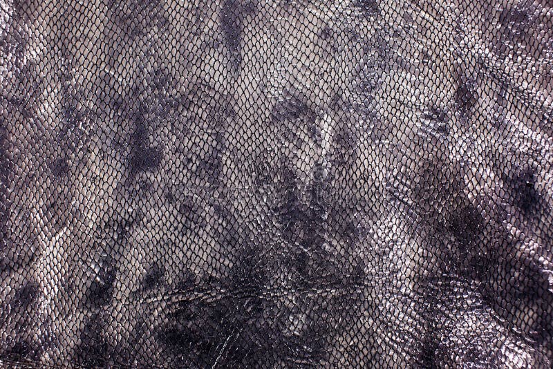 Snake fur texture stock photo. Image of natural, closeup - 207962118
