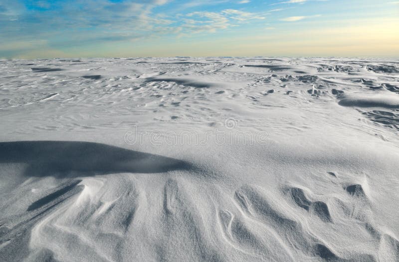 Grey snow. stock image. Image of white, cold, tree, light - 16713883