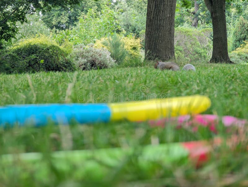 Hooops Stock Photos - Free & Royalty-Free Stock Photos from Dreamstime