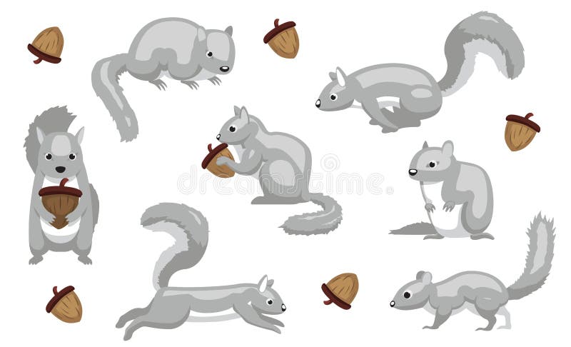 Grey Squirrel Isolated Vector Cartoon Character Various Poses Stock ...