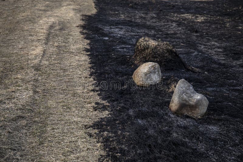 Grey Stone on a Burnt Grass Ground after Wildfire. Environmental ...