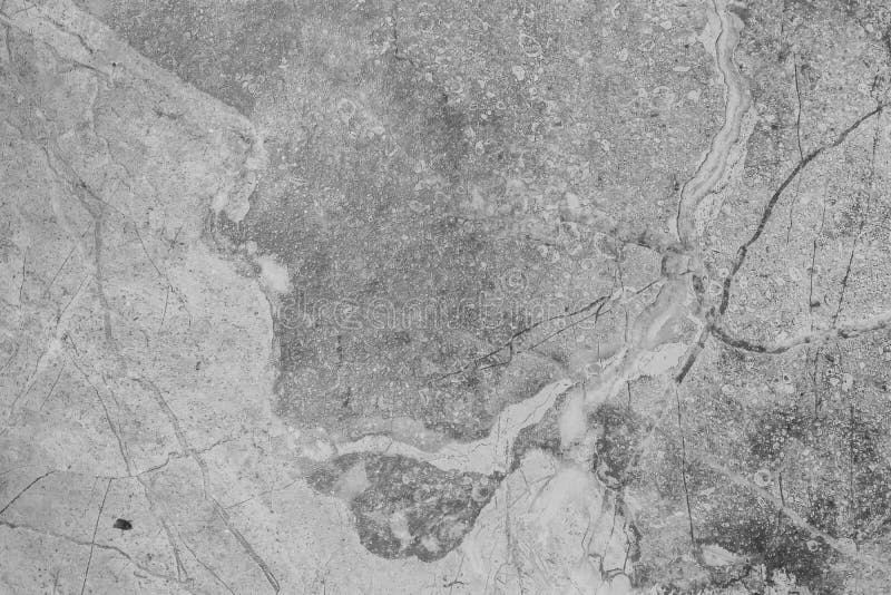 Grey Stone Floor Tile Texture Abstract Background Gray Pattern Interior ...