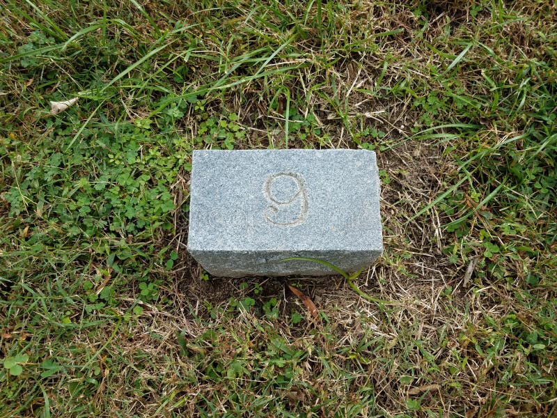 Grey Stone with Number Nine in Grass Stock Image - Image of rock, nine ...