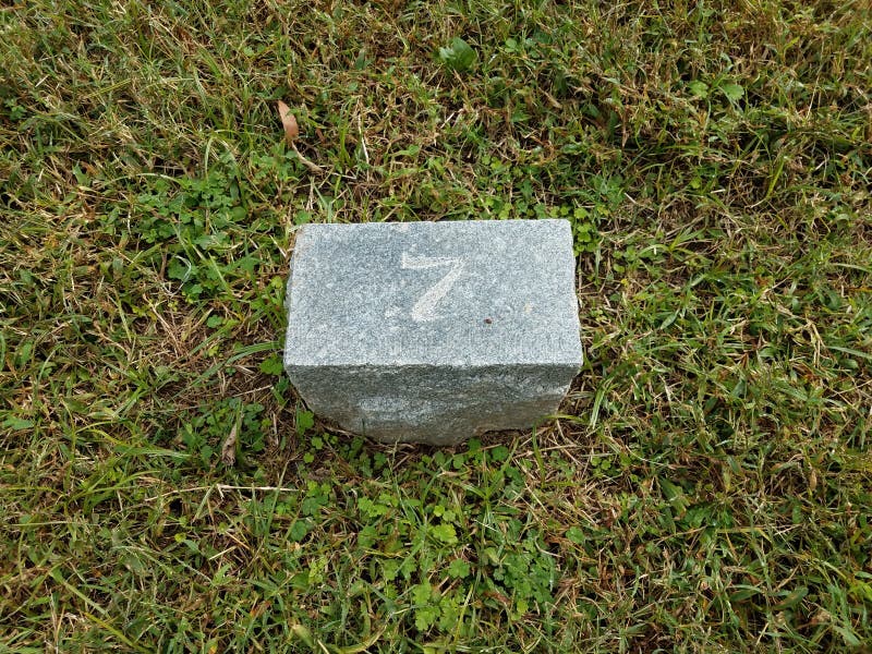 Grey Stone with Number Seven in Grass Stock Photo - Image of lawn ...