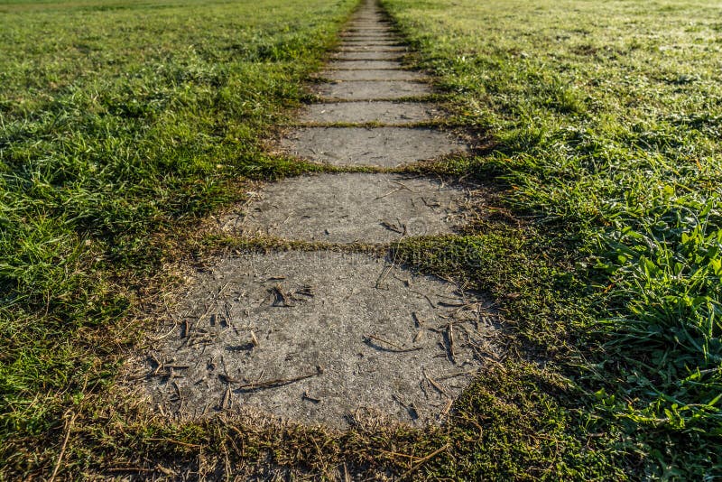 Stone path in the grass stock photo. Image of background - 201417364