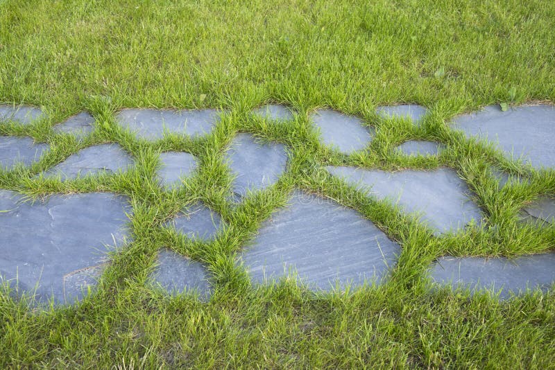 Grey Stone Paving Path on Fresh Cut Green Lawn. Landscape Design ...