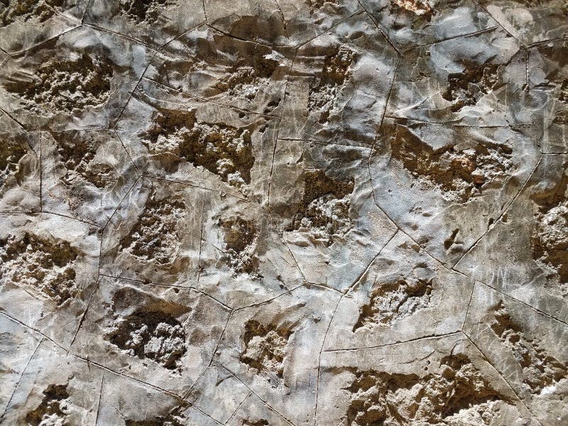 Grey Rough Dirty Cement or Ground or Pavement with Lines Stock Image ...