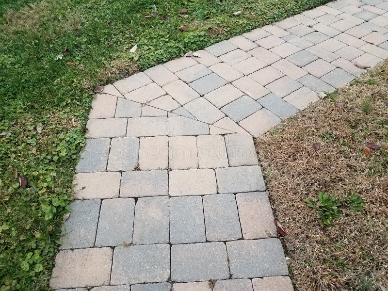 659 Trail Tiles Photos - Free & Royalty-Free Stock Photos from Dreamstime