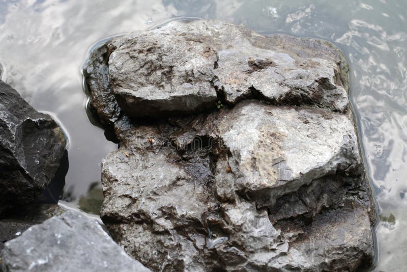 Rocks by the river 2 stock image. Image of forest, park - 120752699
