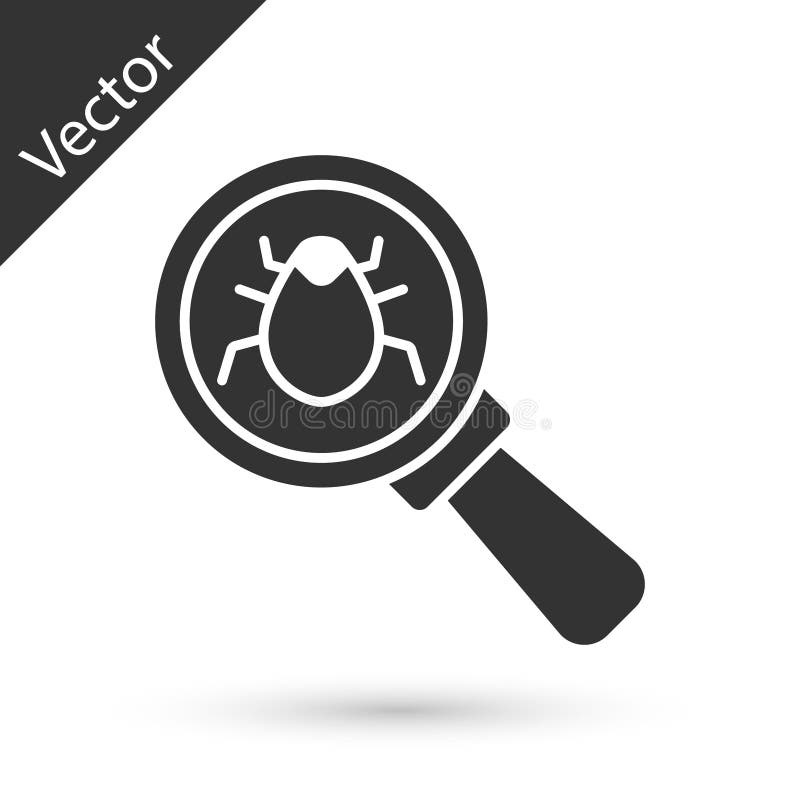 Grey System Bug Concept Icon Isolated on White Background. Code Bug ...