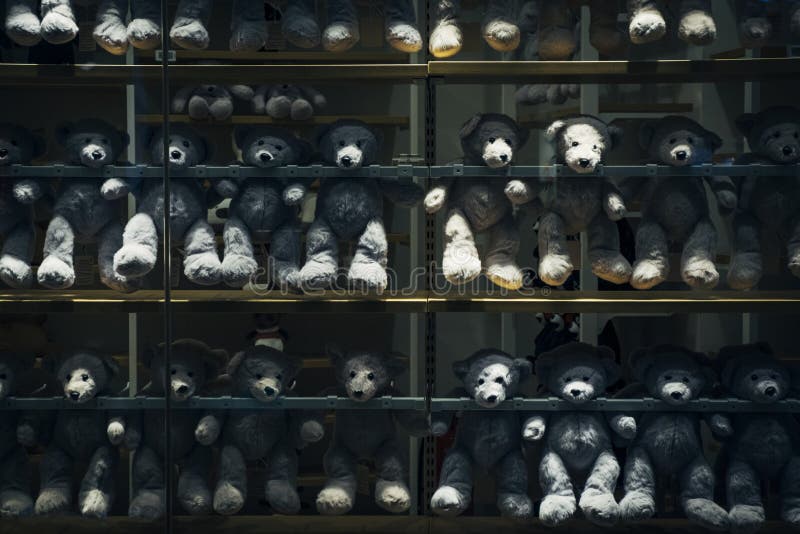 Grey Teddy Bear Display on Shelves in the Retail Shop Stock Photo ...