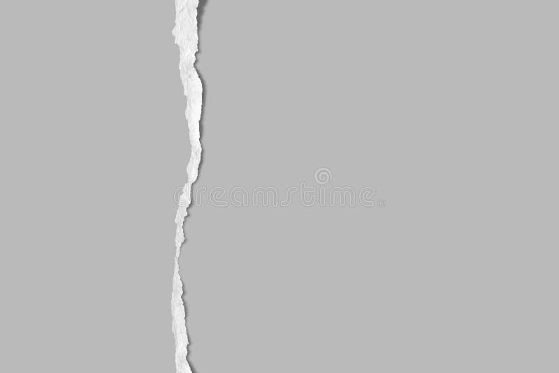 Grey Template Ripped Paper Background. Trendy Banner Stock Image ...