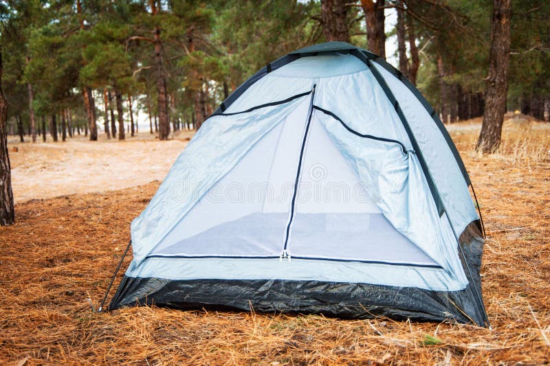 Grey Tent,colorful Armchair, Grey Lamp and Rug in Small Kid`s Playroom ...