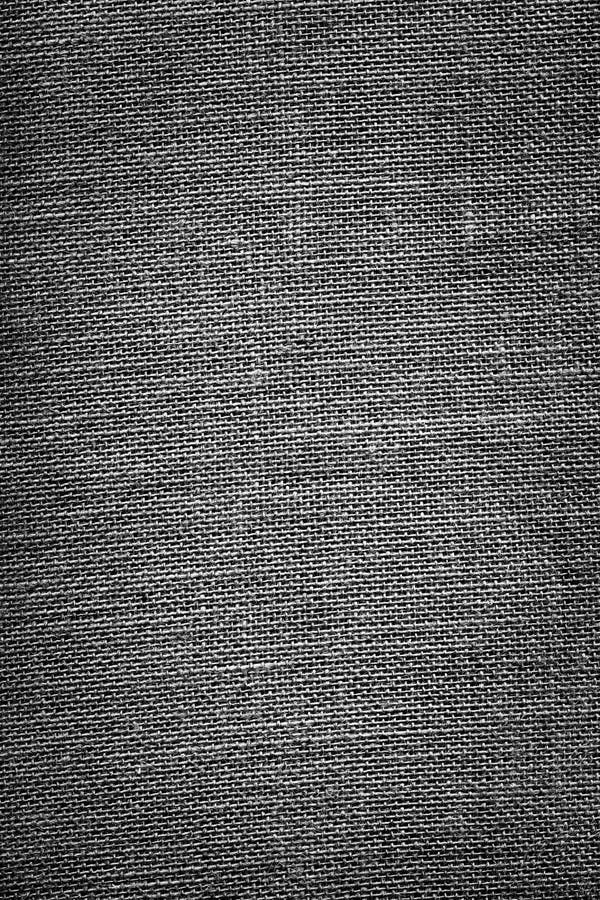 Grey Textile Classic Sofa in Minimalist Interior Room Stock Photo ...