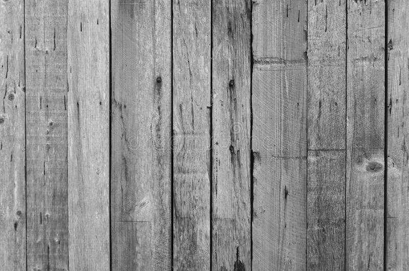 Grey Timber imagen de archivo. Imagen de panel, superficie - 52189247