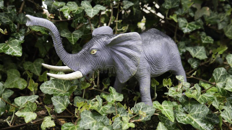 Grey Toy Plastic Rubber Elephant with Long Raised Trunk Stock Image ...