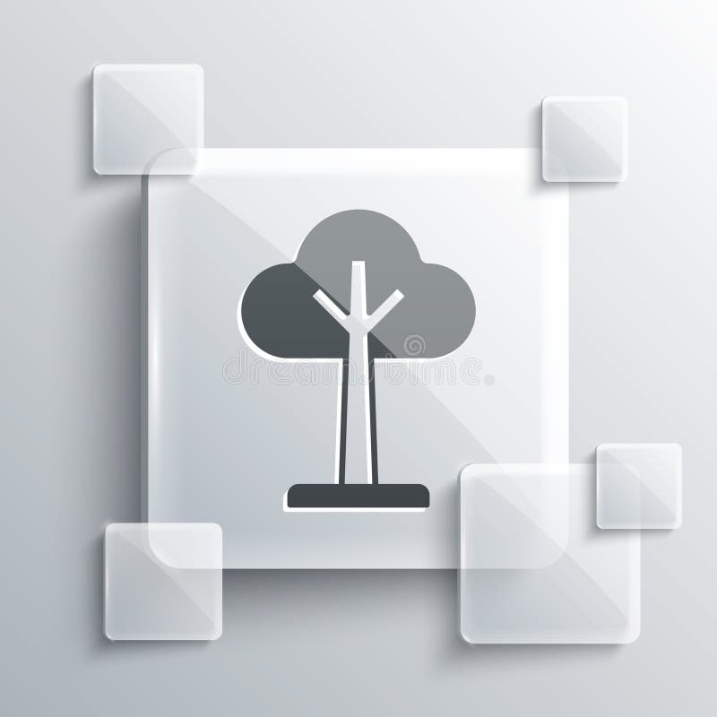 Grey Tree Icon Isolated on Grey Background. Forest Symbol. Square Glass ...