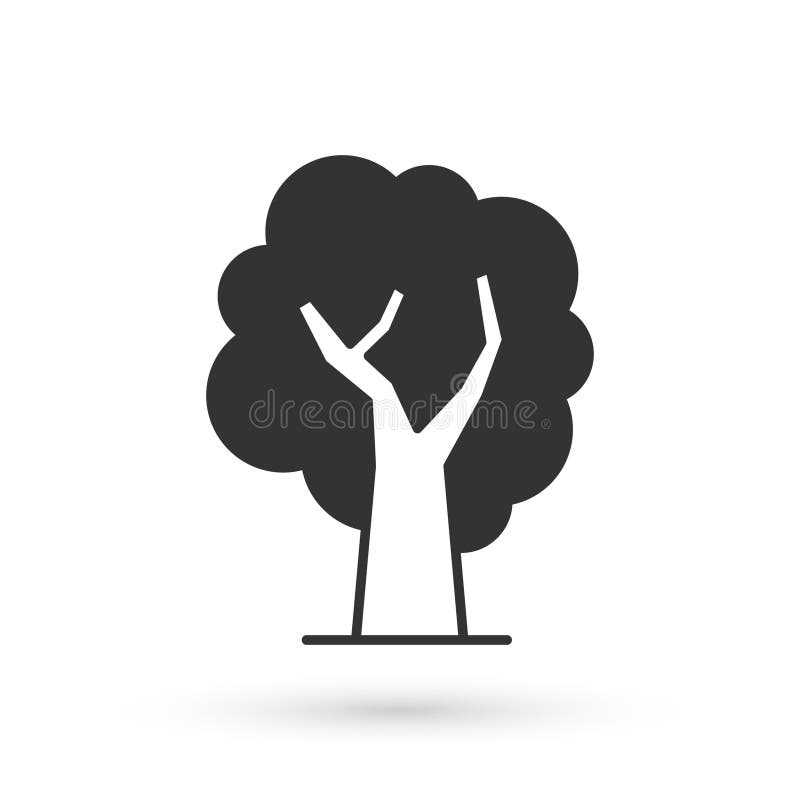 Grey Tree Icon Isolated on White Background. Forest Symbol Stock Vector ...