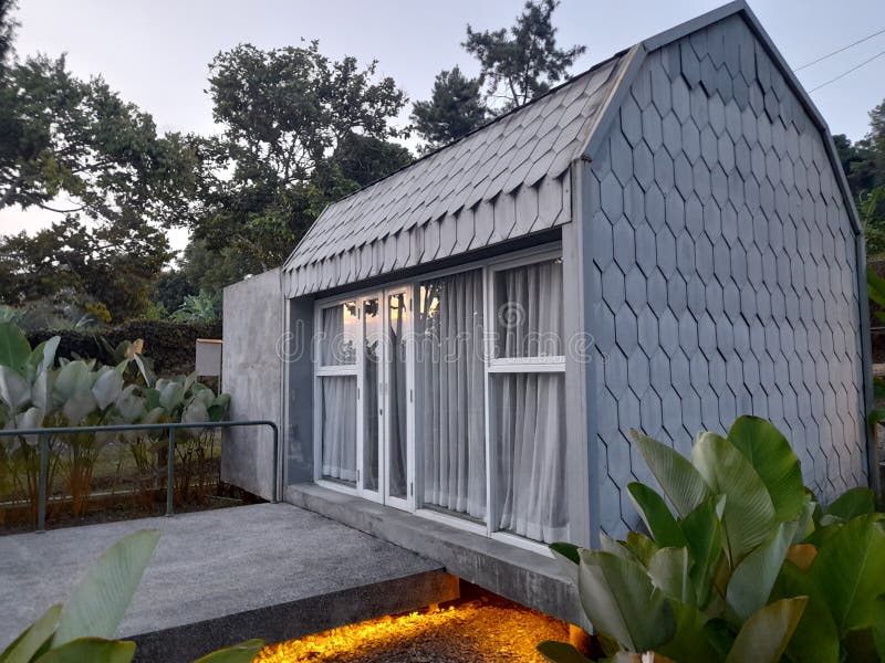 Grey tropical design mono stock image. Image of home - 264572119