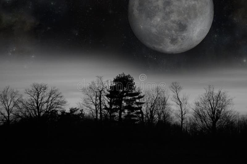 Grey Twilight Moon stock image. Image of beautiful, twilight - 14505107