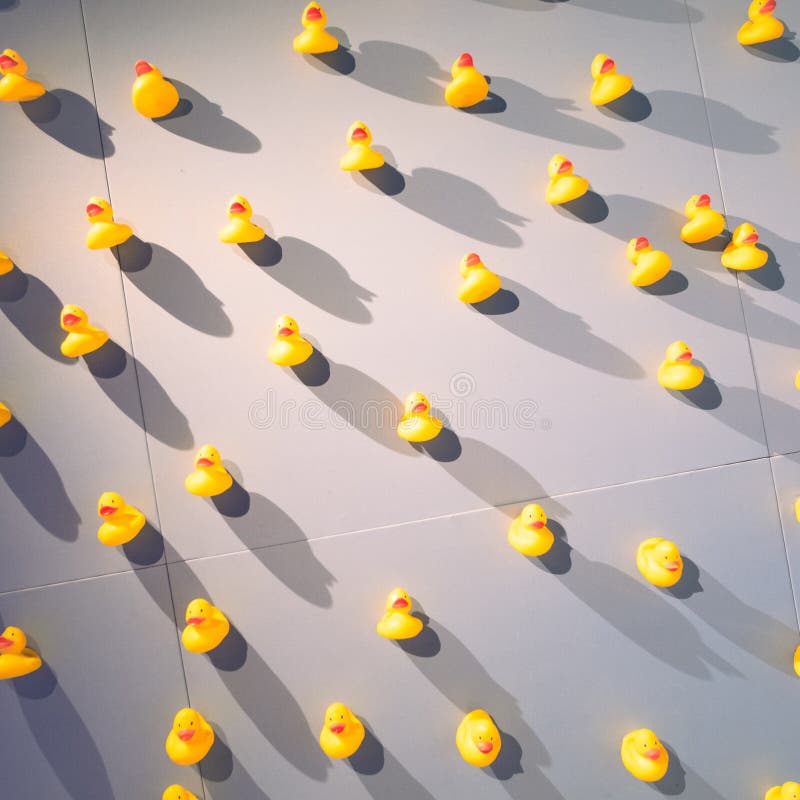 Grey Wall Full Bath Yellow Toy Ducks Pattern Stock Photos - Free & Royalty-Free Stock Photos ...