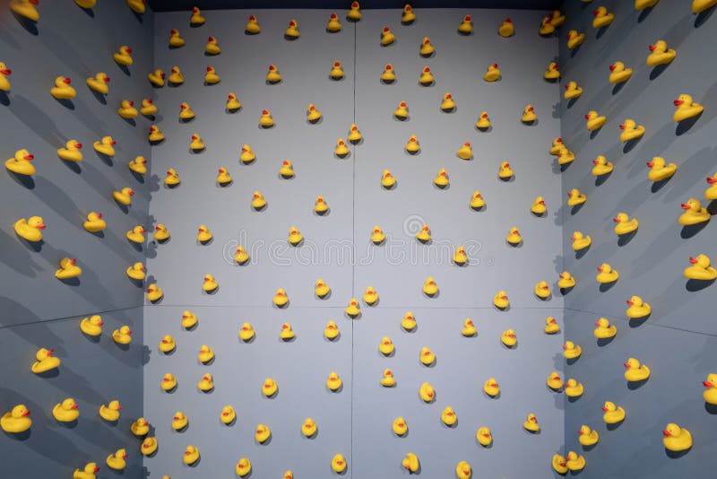 Grey Wall Full of Bath Yellow Toy Ducks in a Pattern Stock Photo ...