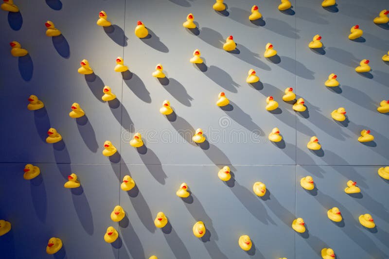Grey Wall Full of Bath Yellow Toy Ducks in a Pattern Stock Illustration - Illustration of ducks ...