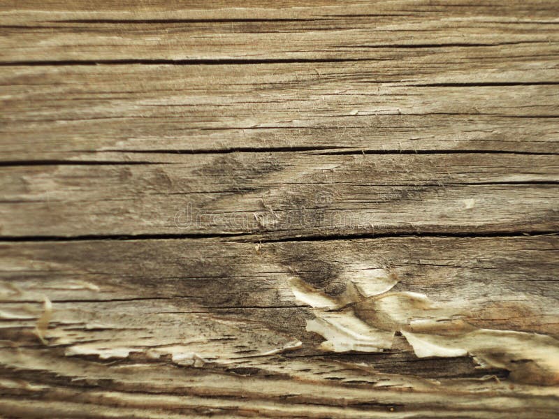 Grey Wall Made of Marble Aggregate with Small Crumbs, Close Up View ...