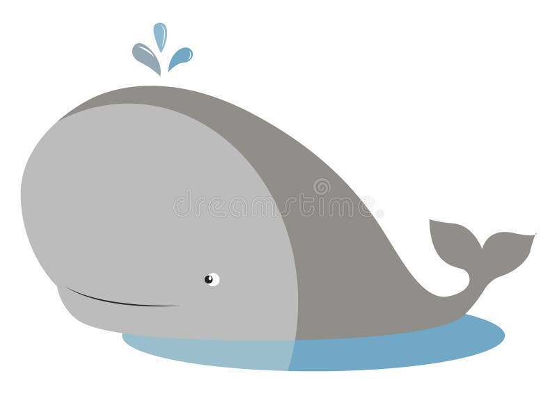 Grey Whale, Illustration, Vector Stock Vector - Illustration of whale ...