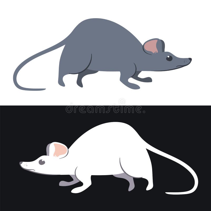 Lab Mouse Diagram