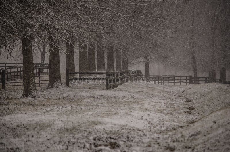 466 Grey Winter Pathway Stock Photos - Free & Royalty-Free Stock Photos ...